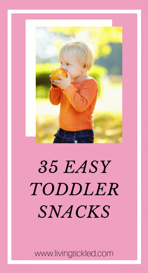 35 Healthy, Fast, and Easy Toddler Snacks for your On-the-Go Toddler